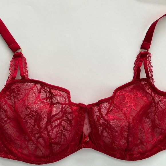 Chantelle | Intimates & Sleepwear | Nwt Chantelle Demi Bra Segur ...